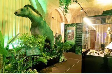 L'agenda fêtes et culture | Loches Sud Touraine